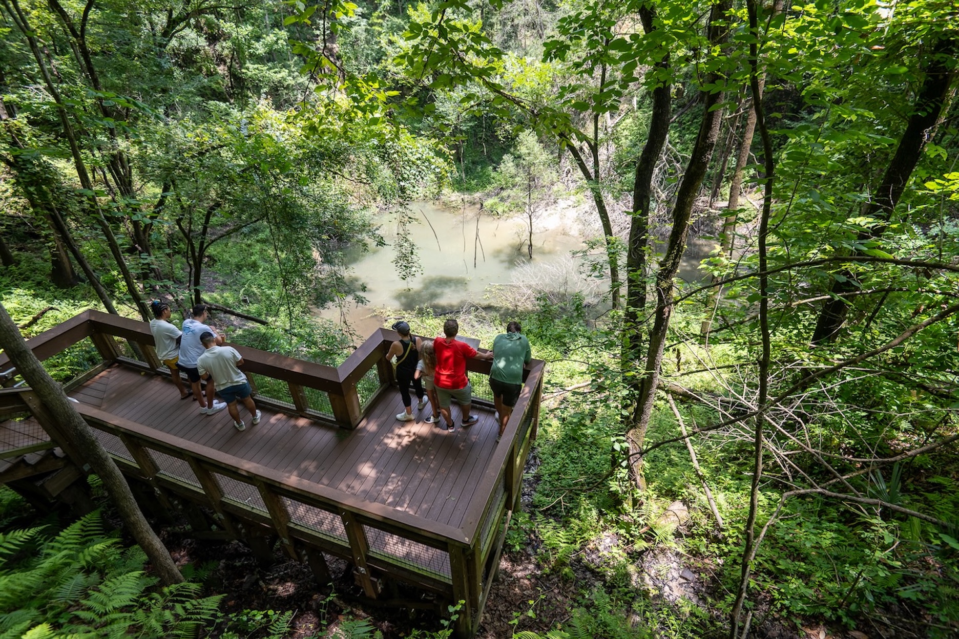 Looking to Beat the Heat this Summer? Live Wildly Shares Florida's Top ...